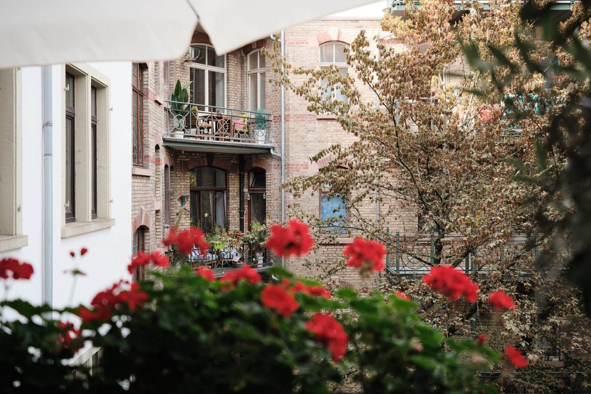 Praxis – Gemeinschaftspraxis Dres. Jung Heidelberg